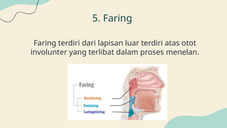 Anatomi Fisiologi Pencernaan Manusia-2.pptx