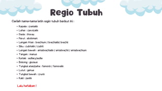 Anatomi Fisiologi Pengantar.pdf