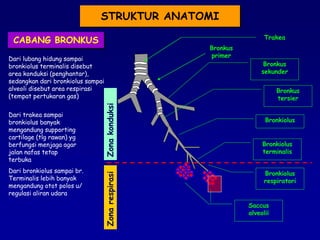 Anatomi Fisiologi Pernafasan.pdf