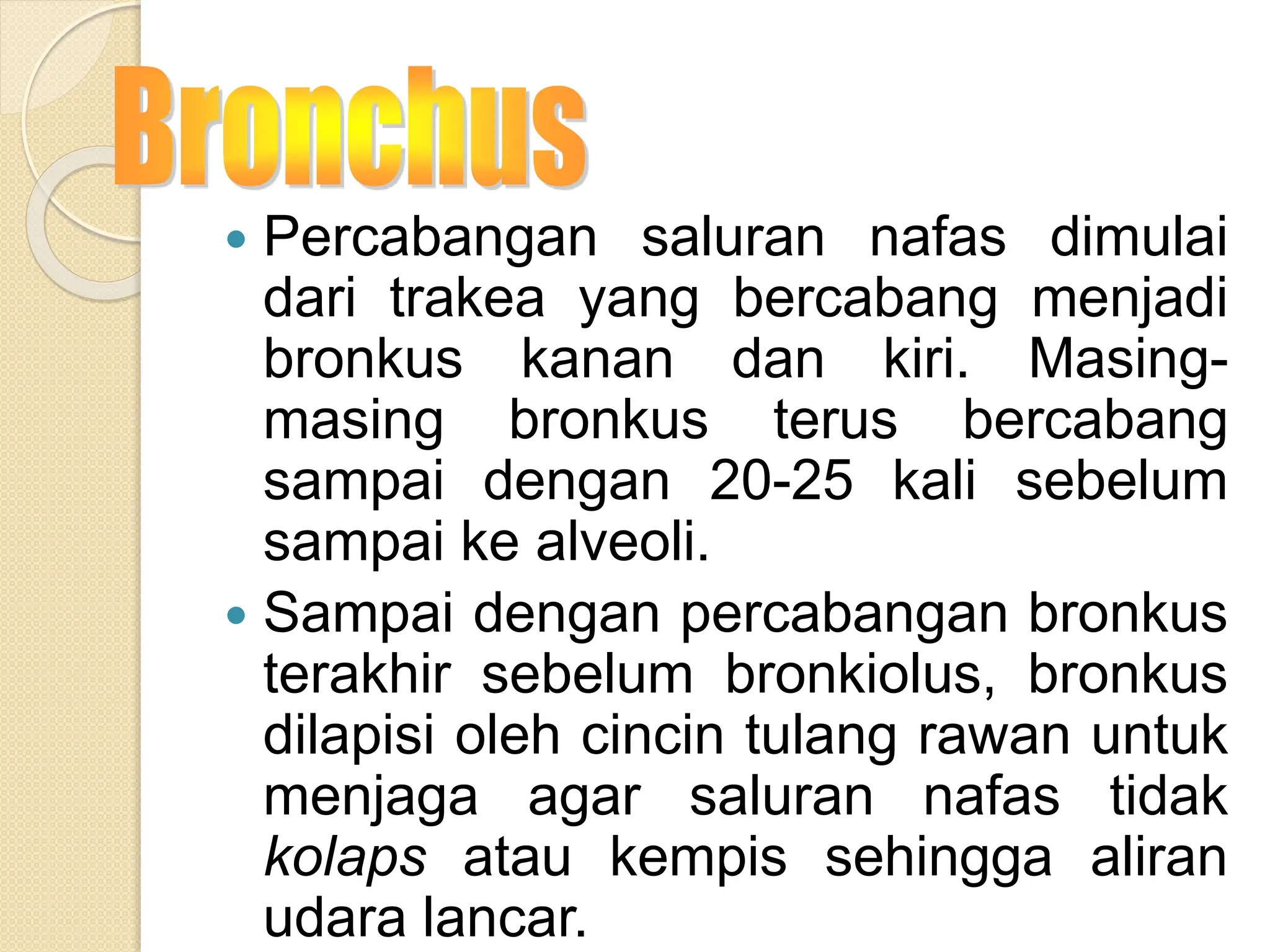 Anatomi Fisiologi Tubuh Manusia pada Sistem Pernapasan | PPTX