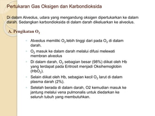 ANATOMI AND FISIOLOGI PERNAPASAN MANUSIA | PPTX