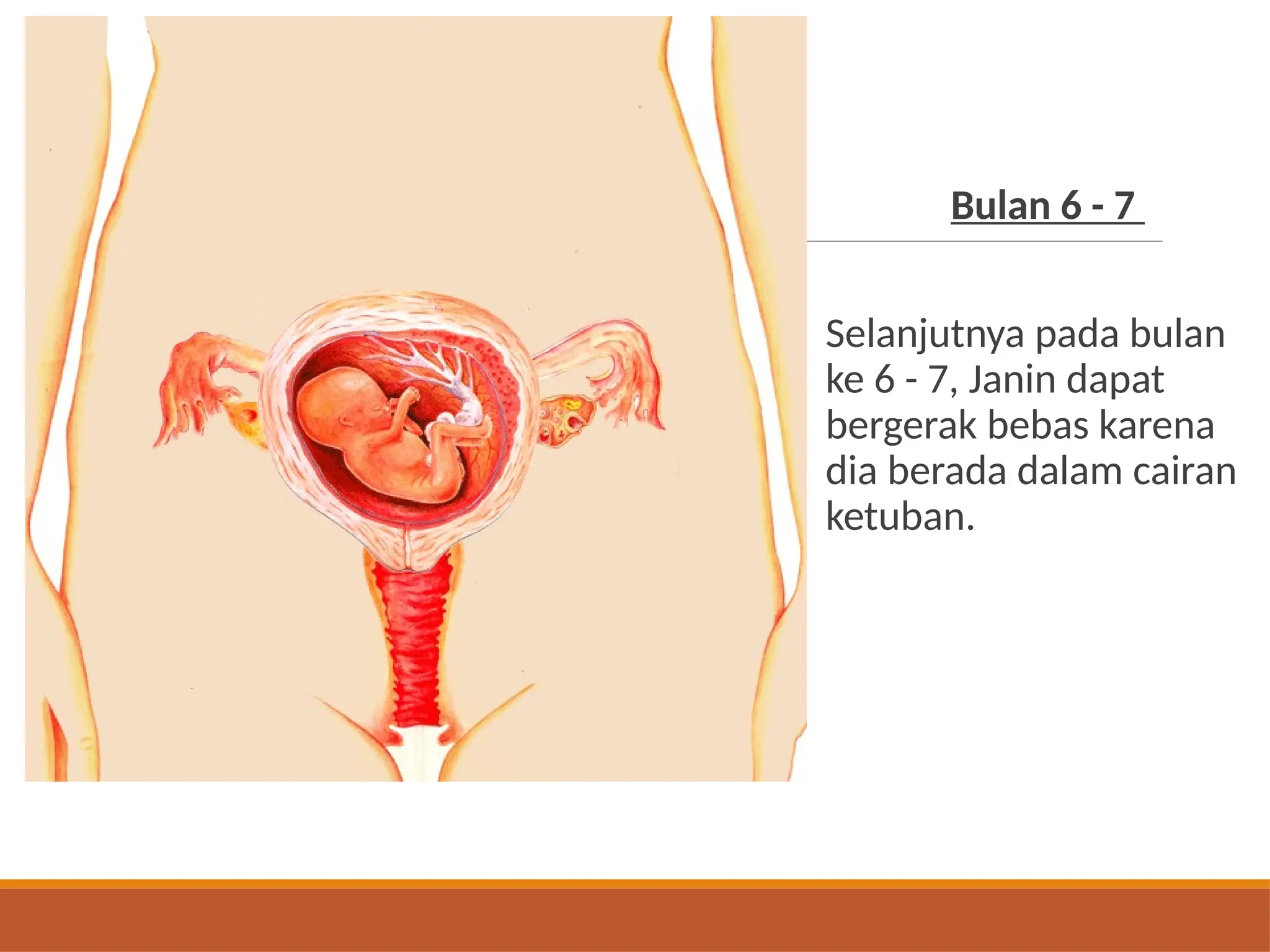 Anatomi dan fisiologi pada Reproduksi.pptx
