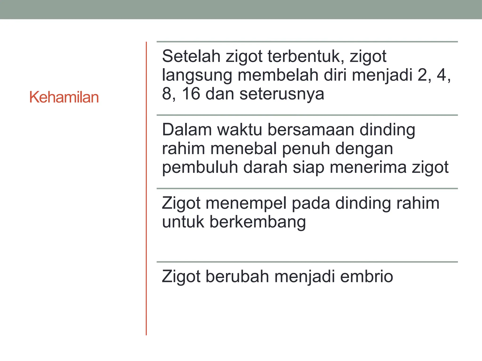 prodi Gizi Anatomi_fisiologi_Reproduksi.pptx