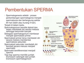 Anatomi_fisiologi_Reproduksiiiiiiii.pptx