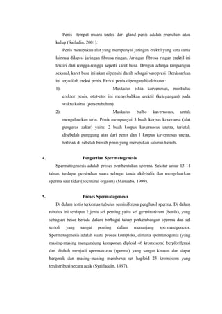 Anatomi fisiologi reproduksi pria | DOC