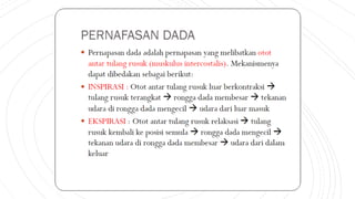 Anatomi Fisiologi Respi Termi Pdf