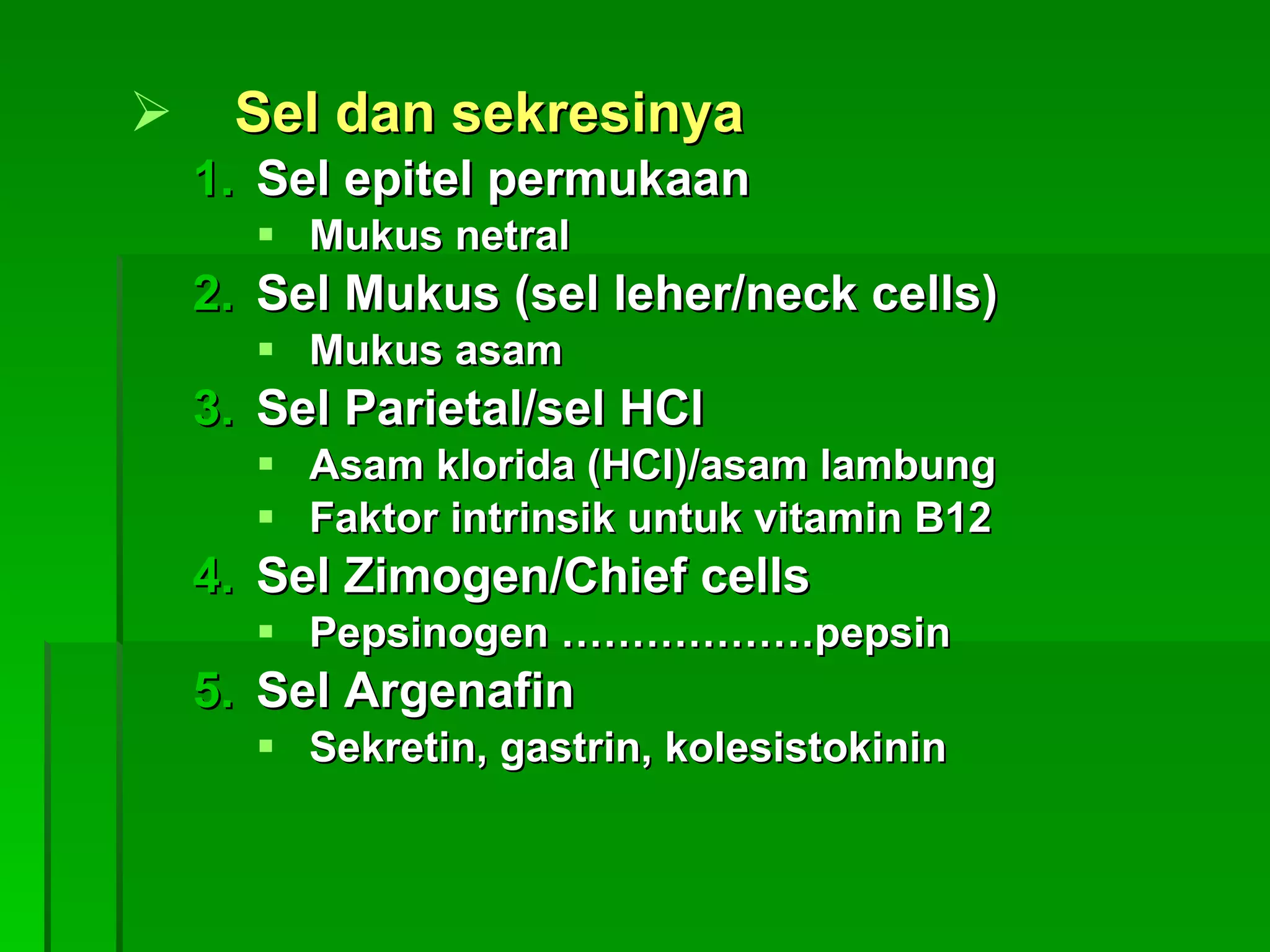 Anatomi Fisiologi Saluran Cerna | PPT
