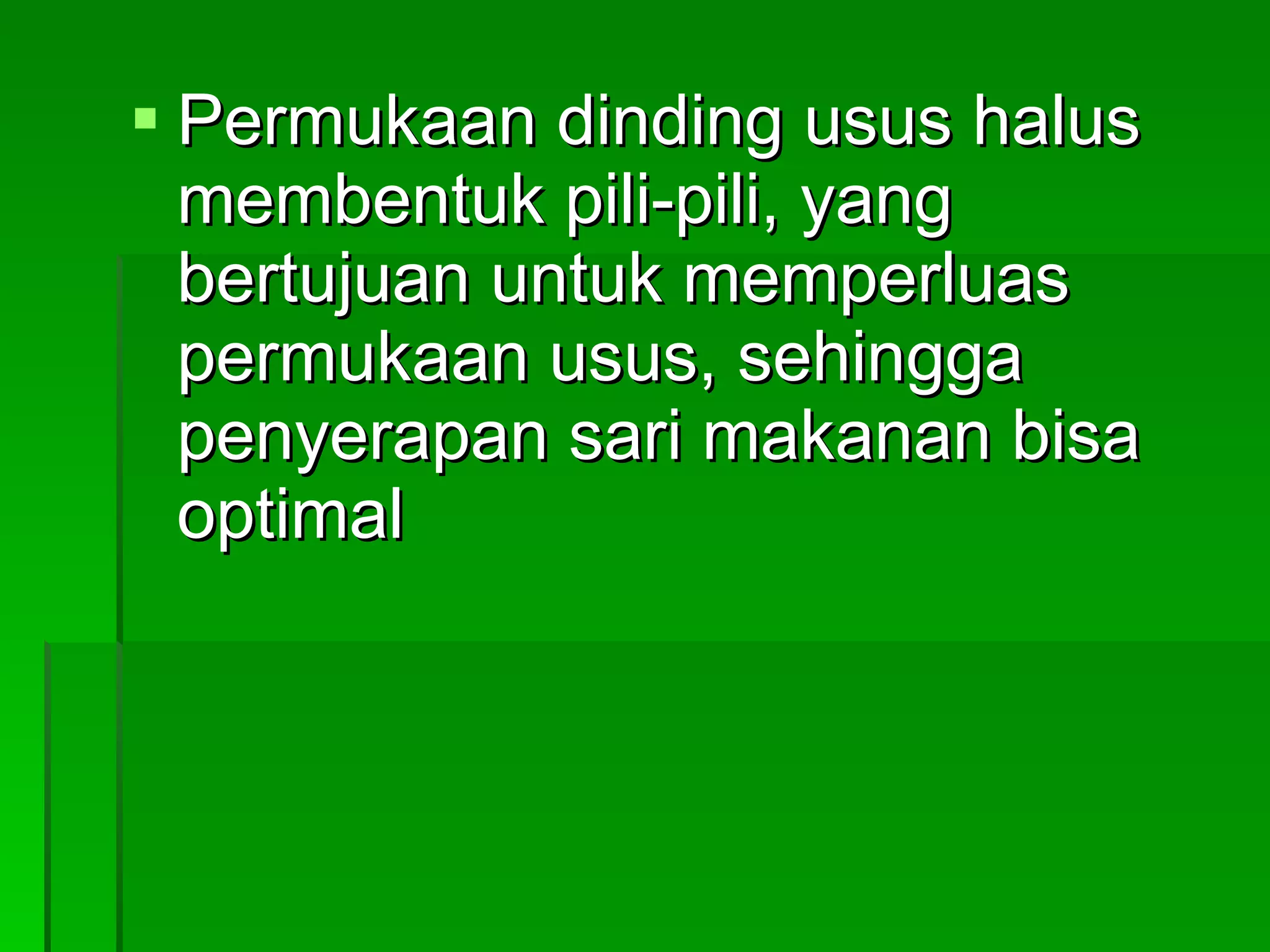 Anatomi Fisiologi Saluran Cerna | PPT