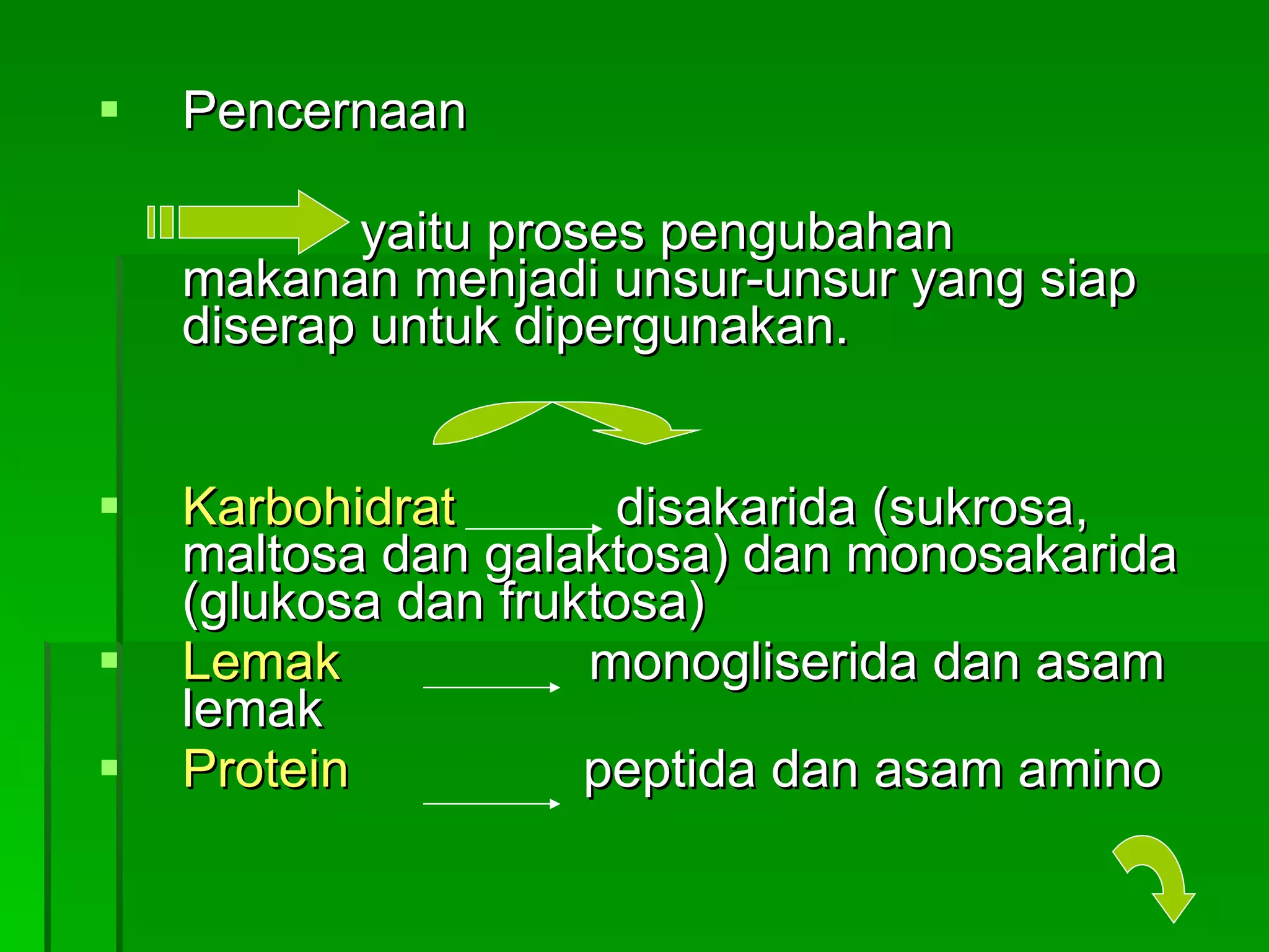 Anatomi Fisiologi Saluran Cerna | PPT