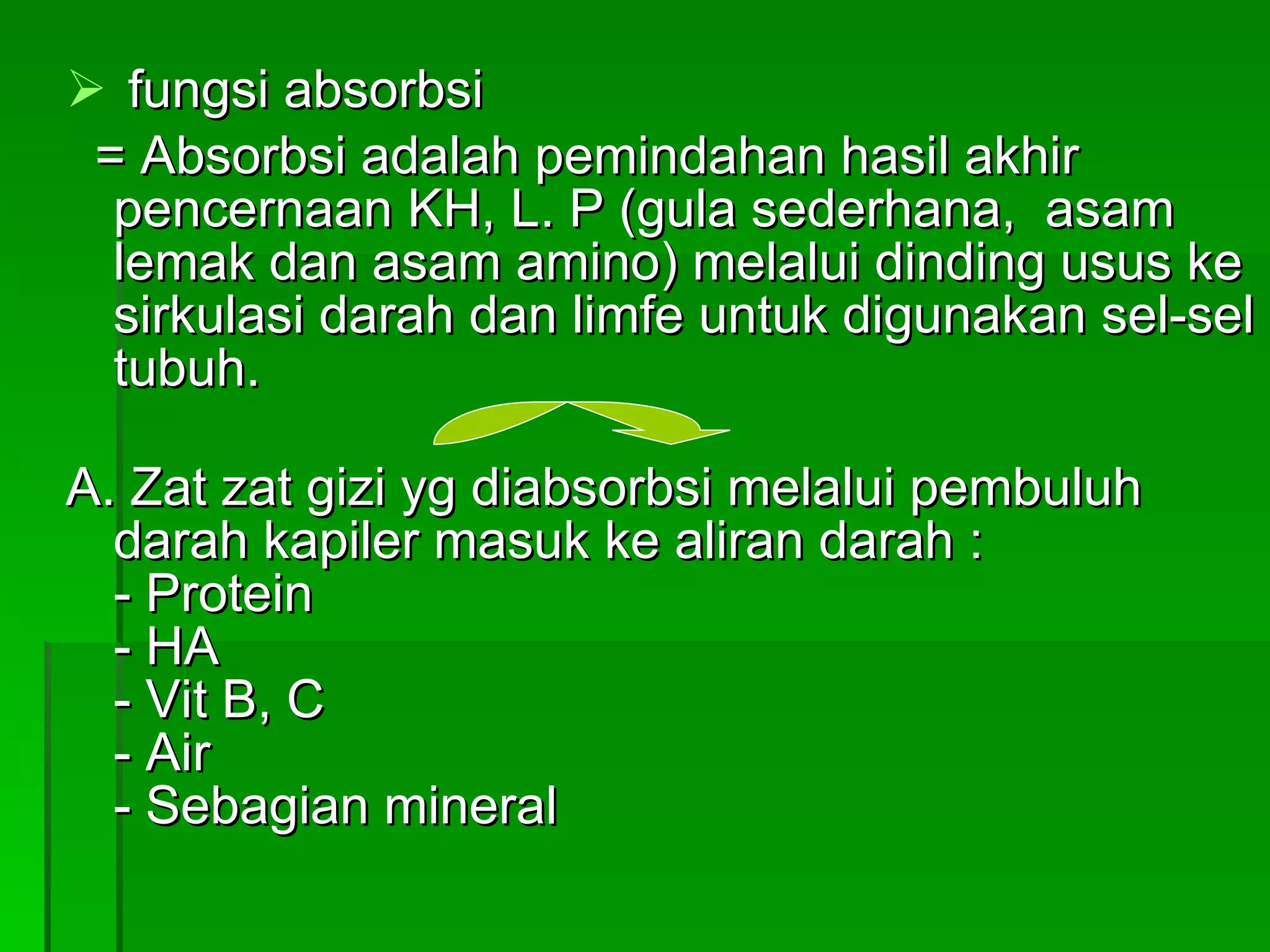 Anatomi Fisiologi Saluran Cerna | PPT