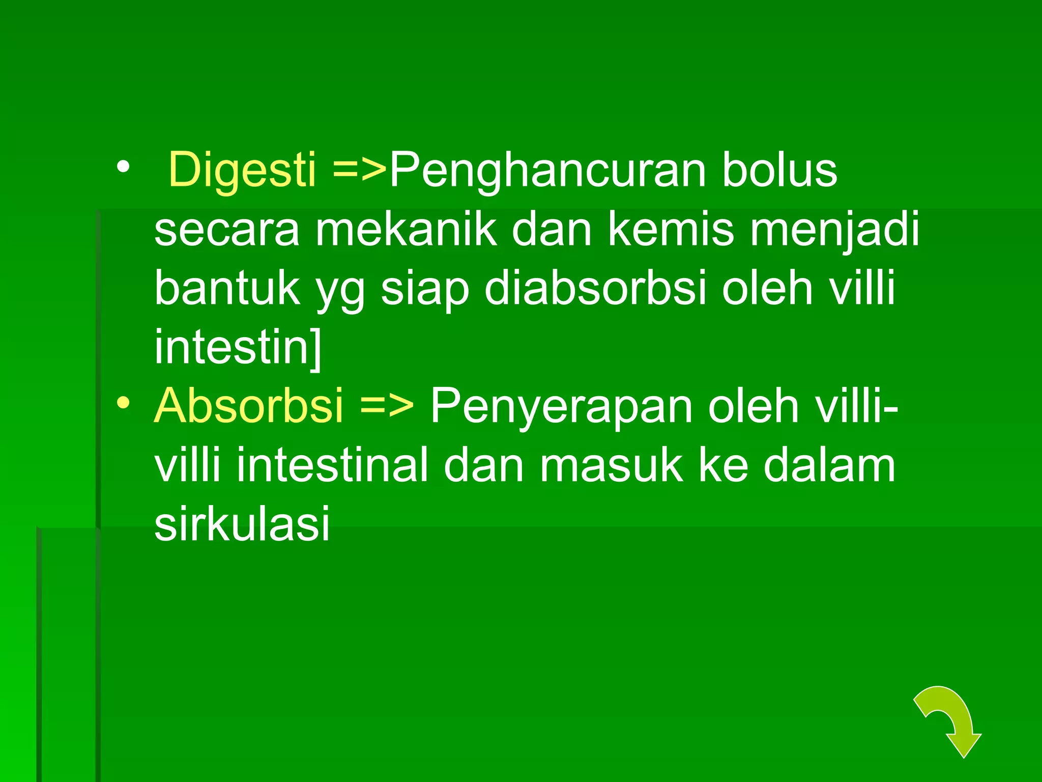Anatomi Fisiologi Saluran Cerna | PPT