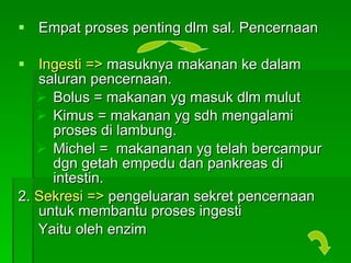 Anatomi Fisiologi Saluran Cerna | PPT