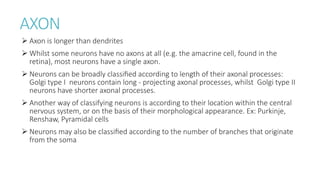 Anatomi fisiologi saraf (neuron) | PPTX
