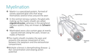 Anatomi fisiologi saraf (neuron) | PPTX