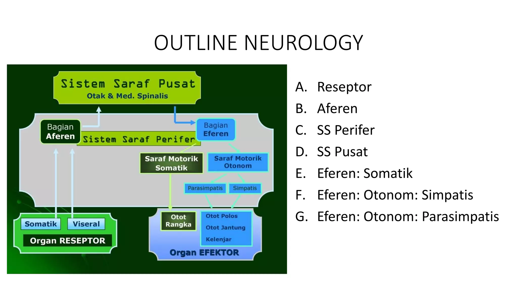 ANATOMI FISIOLOGI SARAF.pptx