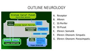 ANATOMI FISIOLOGI SARAF.pptx