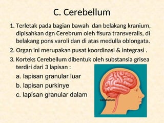 Anatomi dan Fisiologi sistem persaraf.ppt