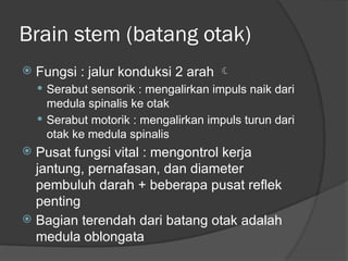 Power Point Anatomi & Fisiologi saraf Manusia | PPTX