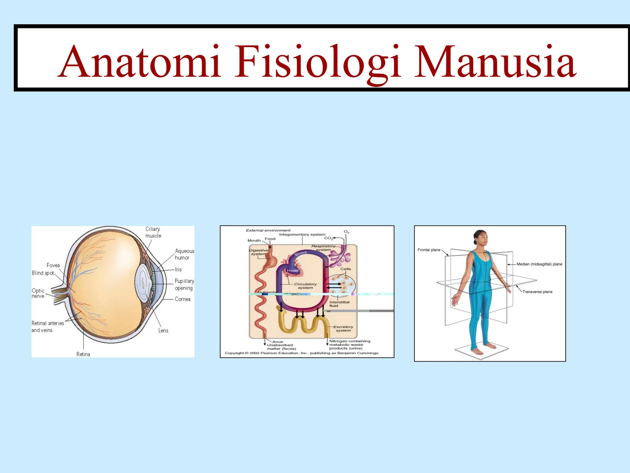Materi Anatomi Fisiologi secara umum.ppt