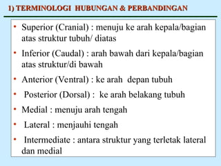 Materi Anatomi Fisiologi secara umum.ppt
