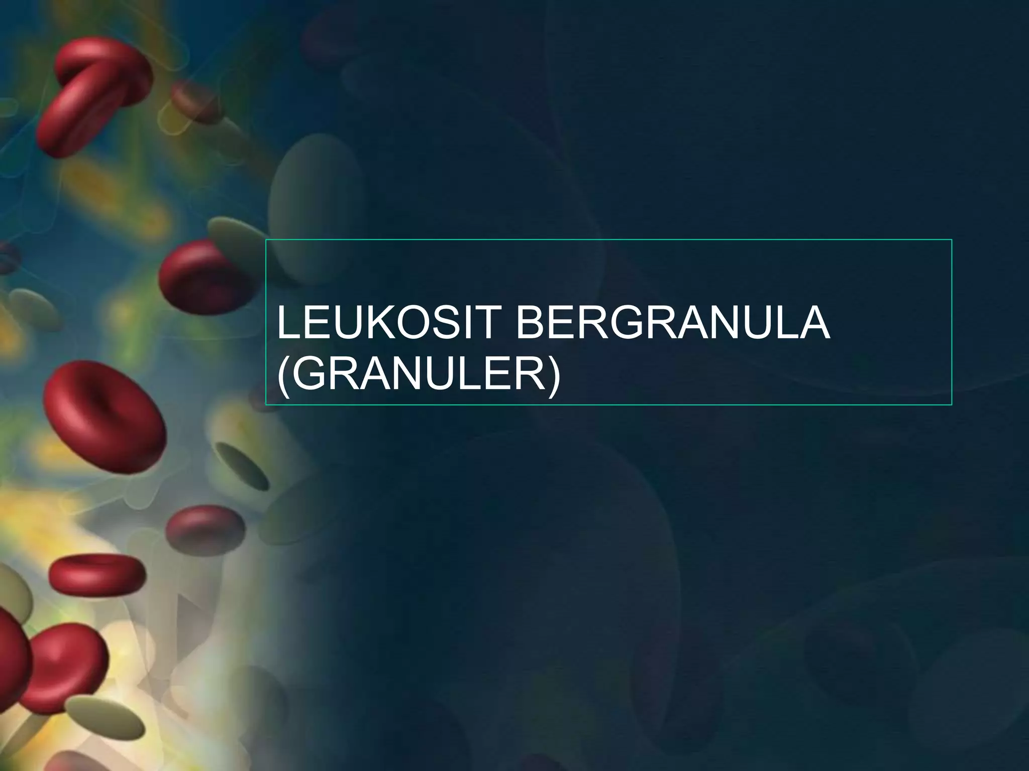 Anatomi fisiologi sistem hematologi | PPTX