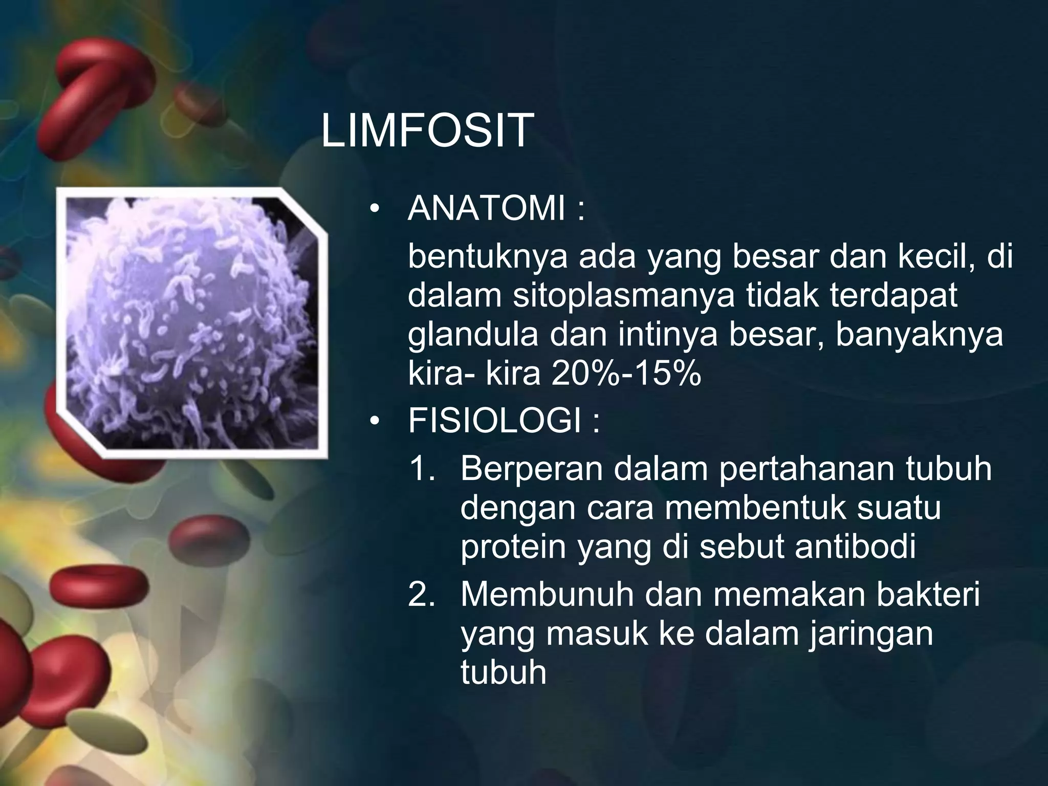 Anatomi fisiologi sistem hematologi | PPTX