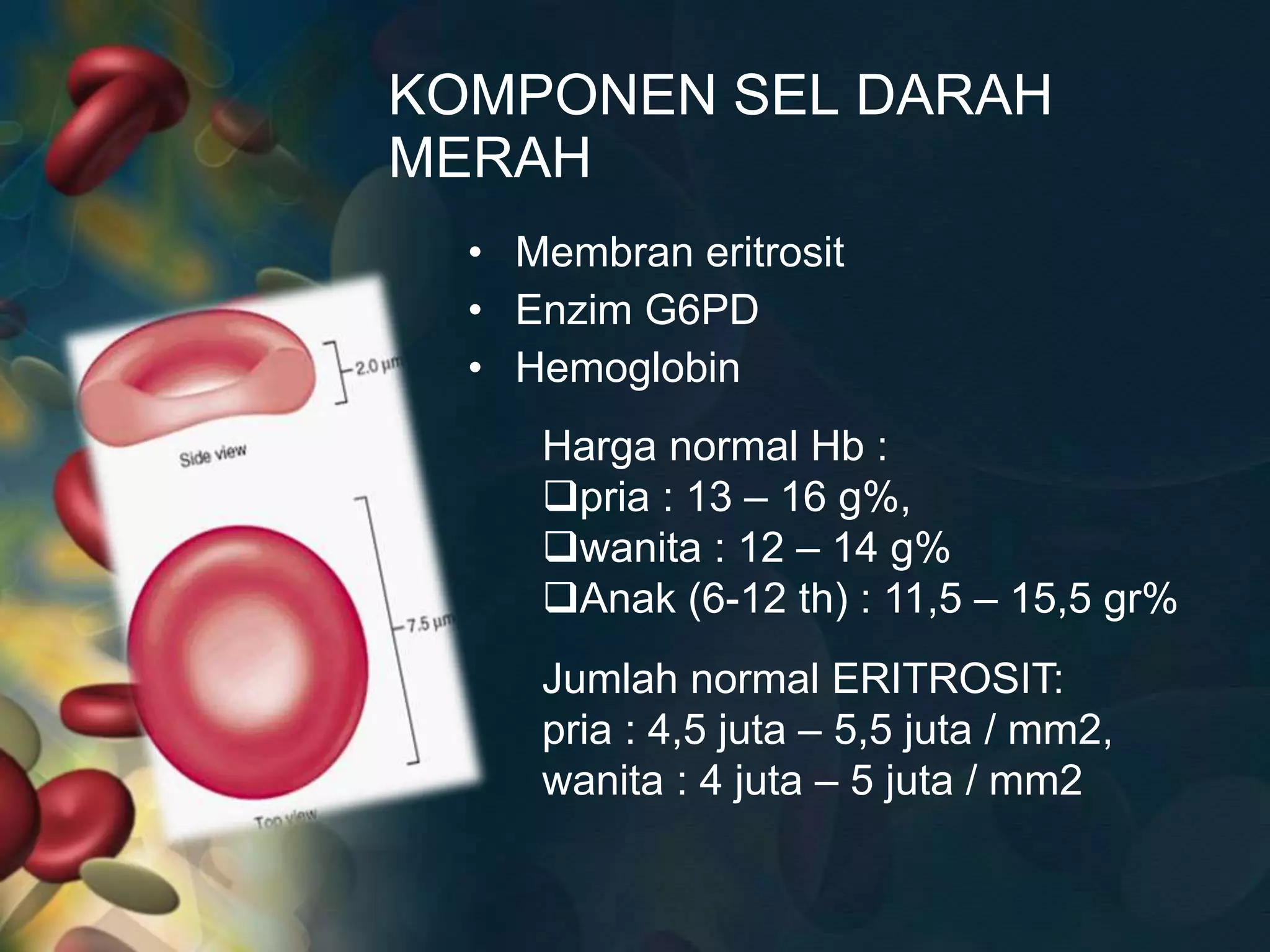 Anatomi fisiologi sistem hematologi | PPTX