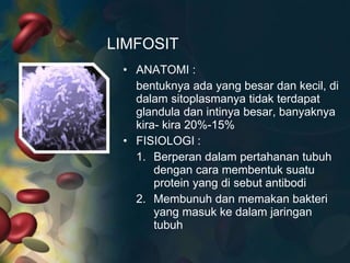 Anatomi fisiologi sistem hematologi | PPTX
