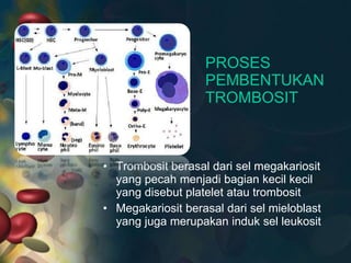 Anatomi fisiologi sistem hematologi | PPTX
