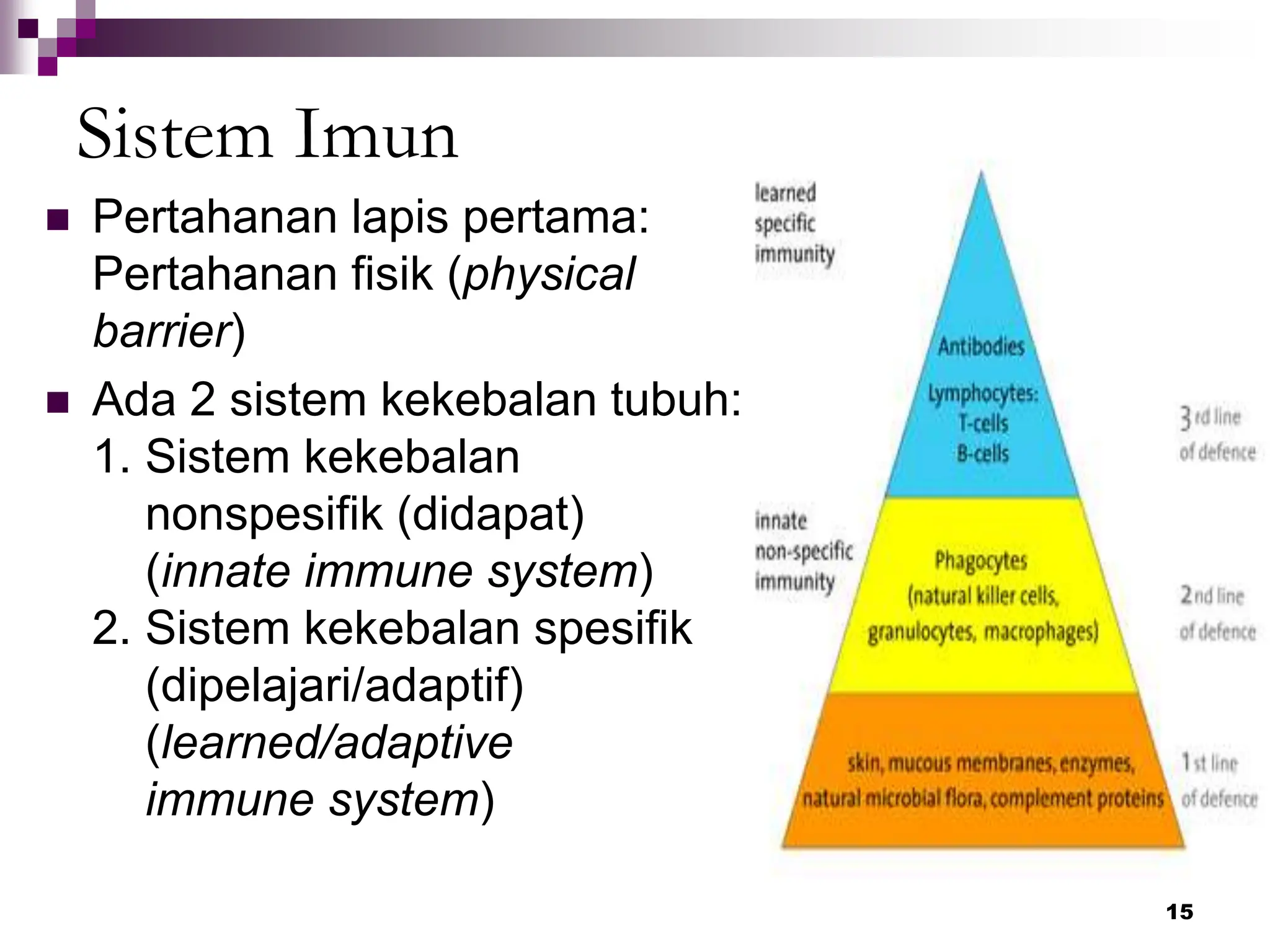 ANATOMI FISIOLOGI SISTEM_IMUN DAN HEMATOLOGI.ppt