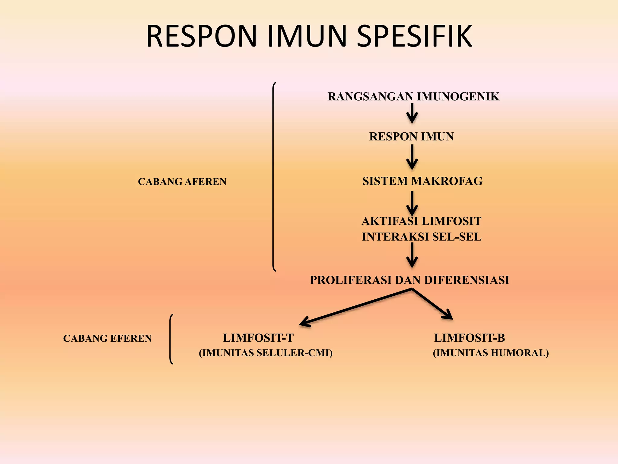 Anatomi & fisiologi sistem imunologi | PPTX
