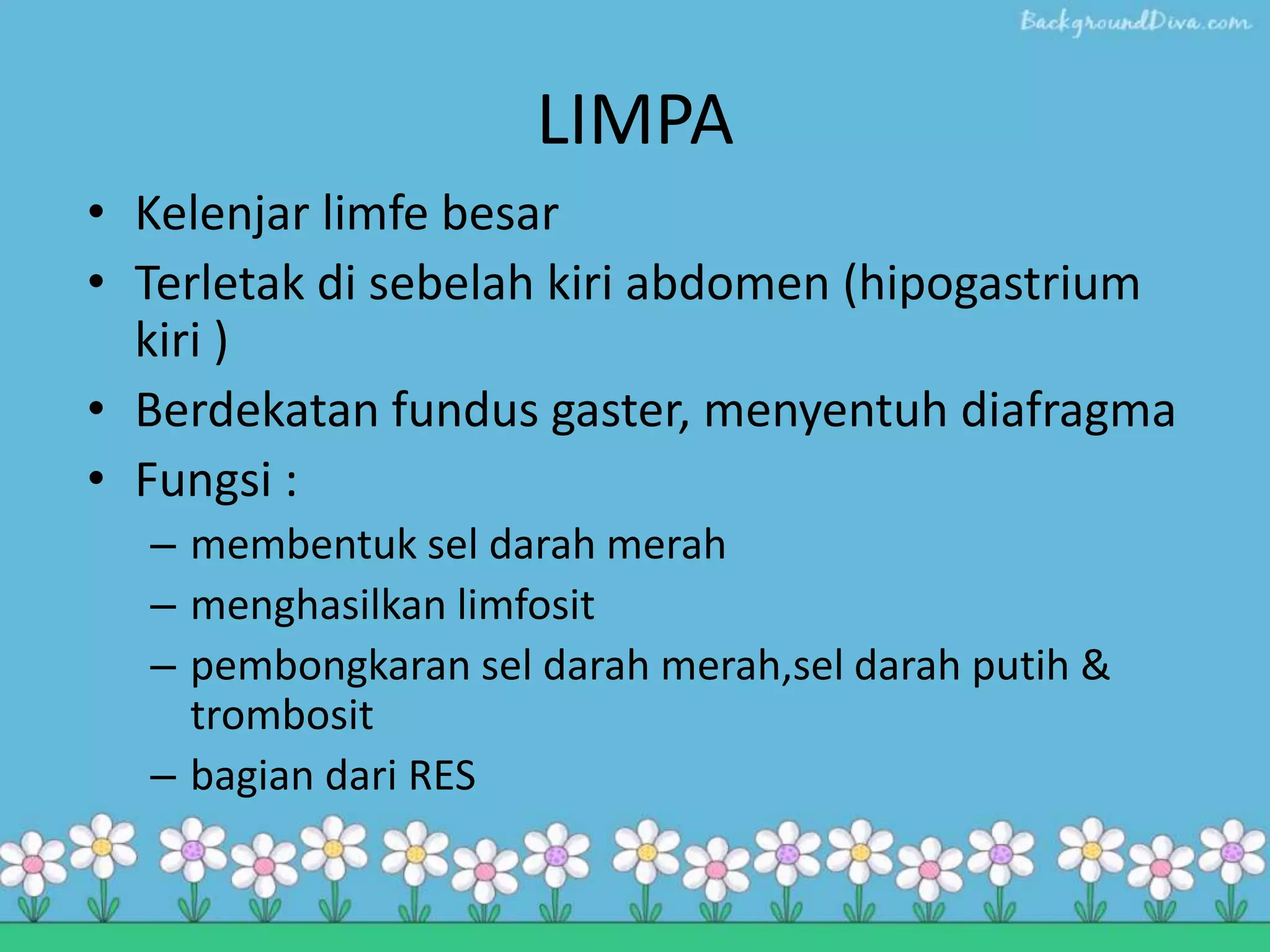 Anatomi & fisiologi sistem imunologi | PPTX