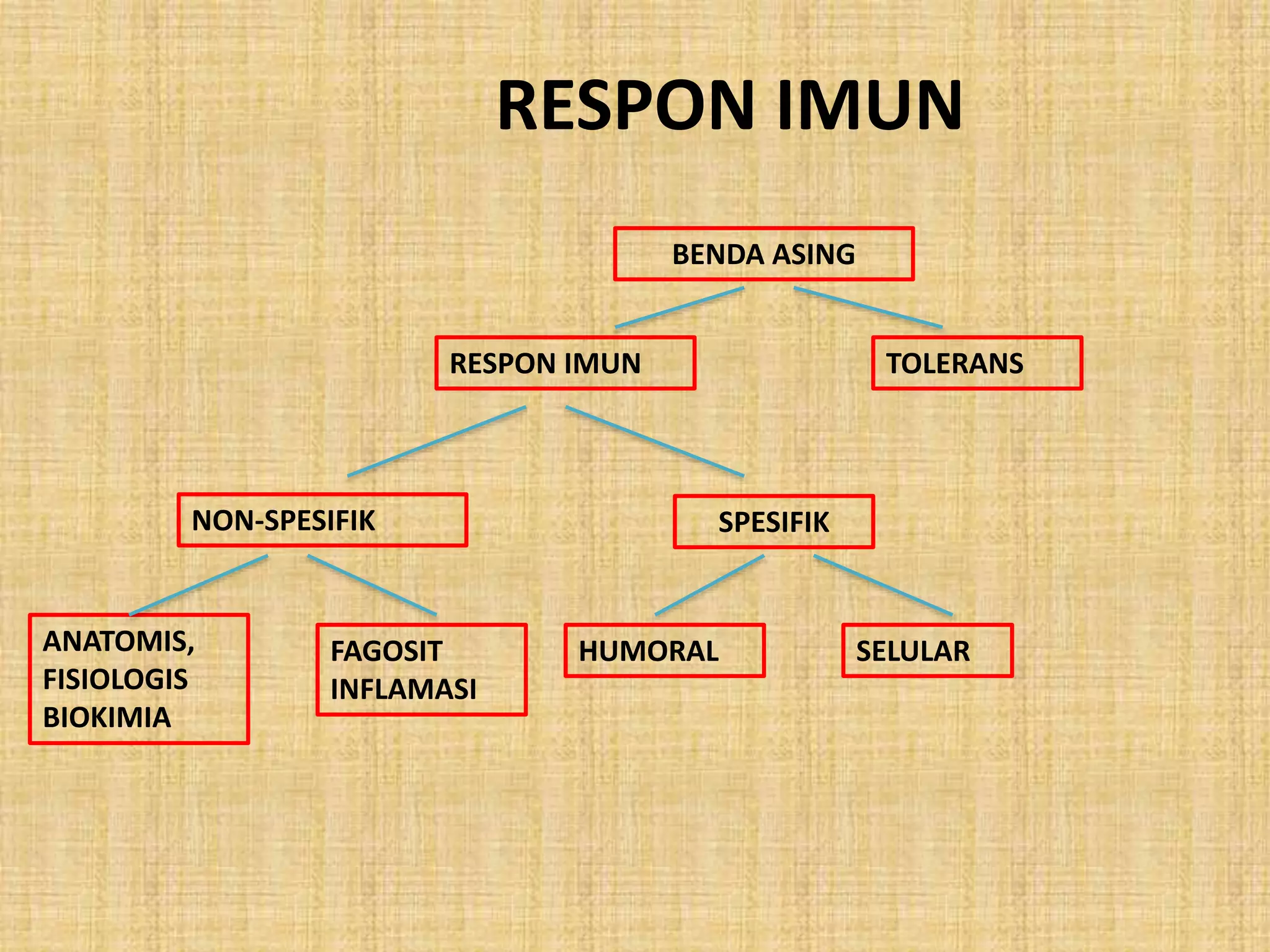 Anatomi & fisiologi sistem imunologi | PPTX