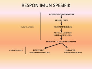 Anatomi & fisiologi sistem imunologi | PPTX