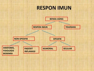 Anatomi & fisiologi sistem imunologi | PPTX