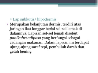 Anatomi fisiologi sistem integumen | PPT