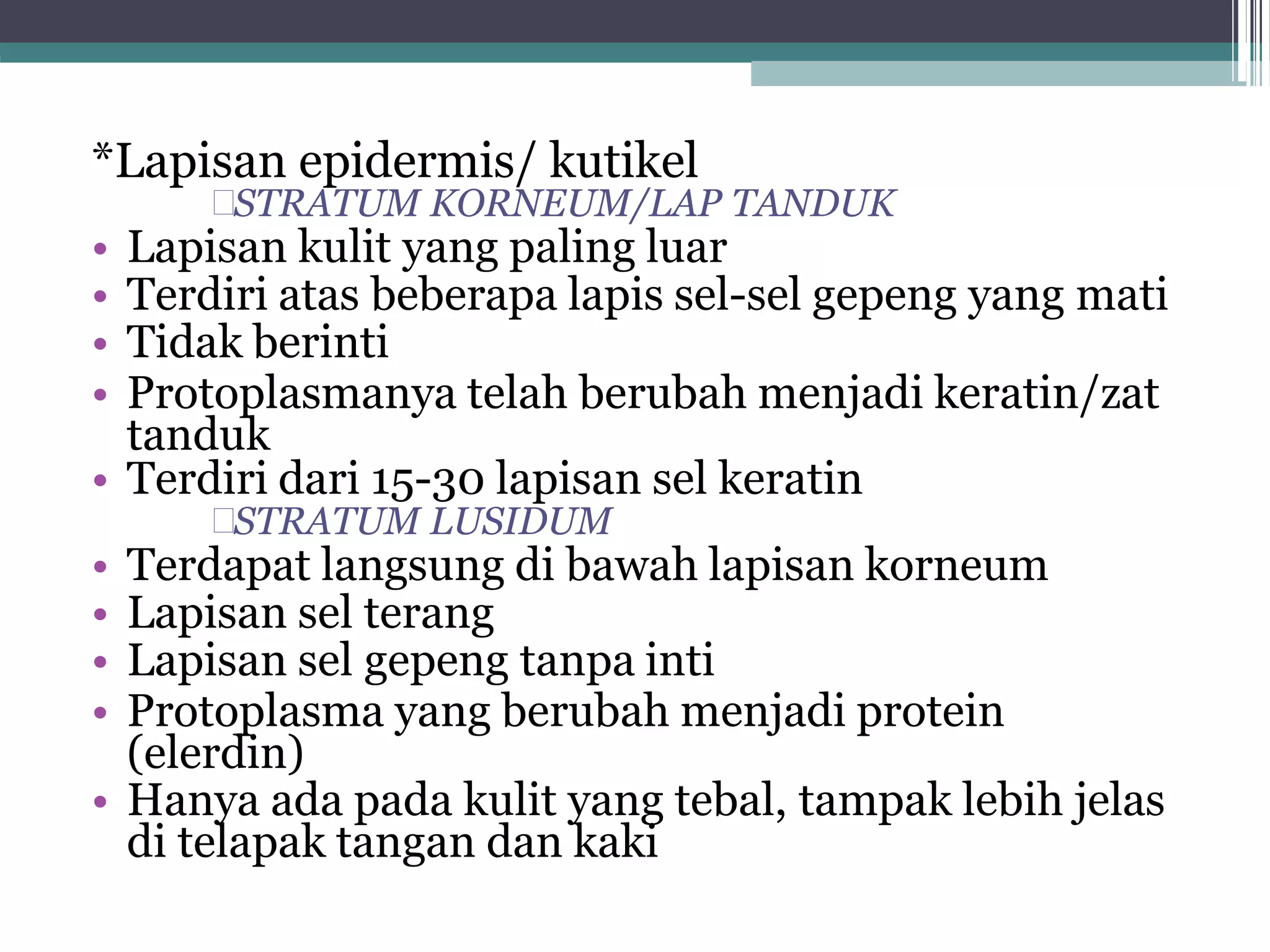 Anatomi fisiologi sistem integumen 2 | PPTX