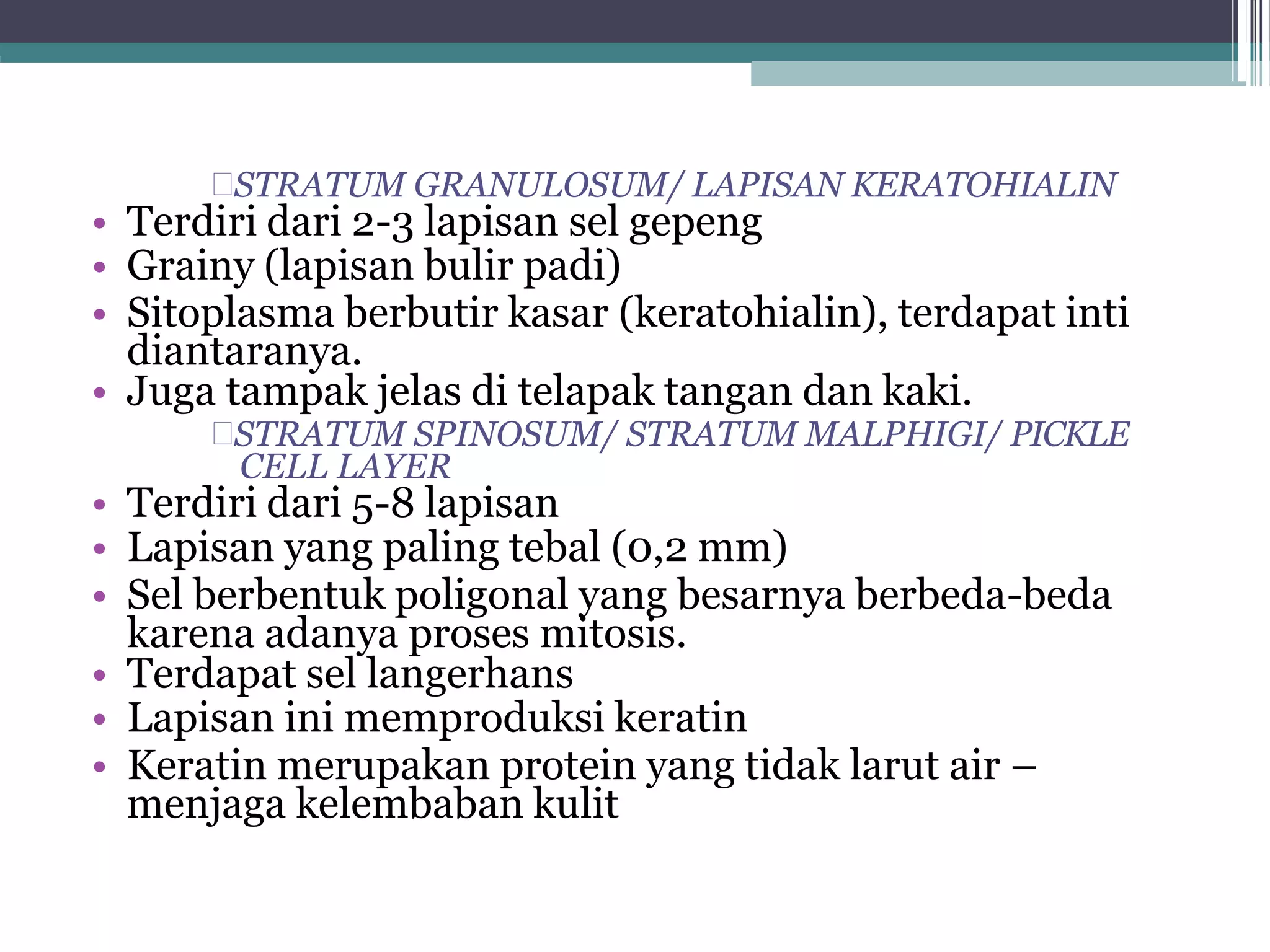 Anatomi fisiologi sistem integumen 2 | PPTX