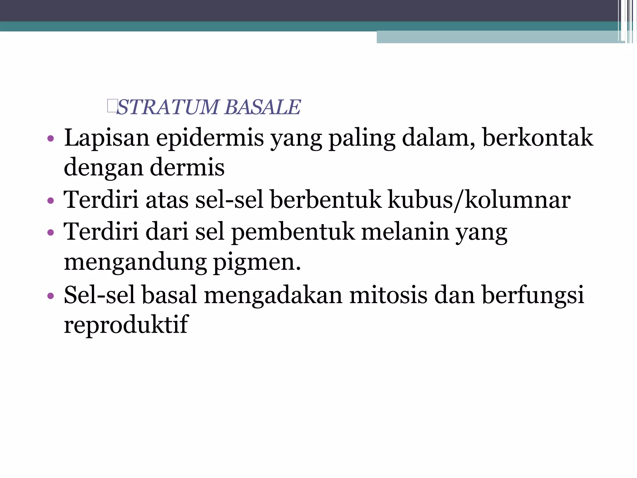 Anatomi fisiologi sistem integumen 2 | PPTX