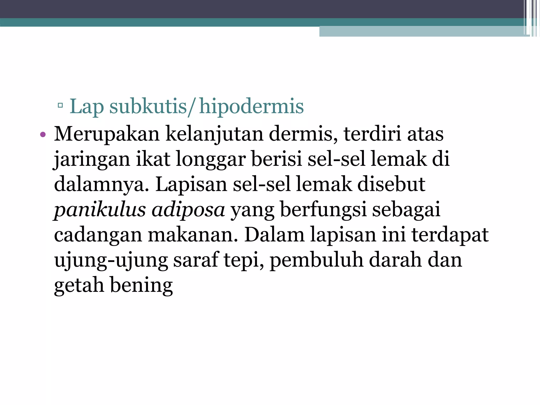 Anatomi fisiologi sistem integumen 2 | PPTX