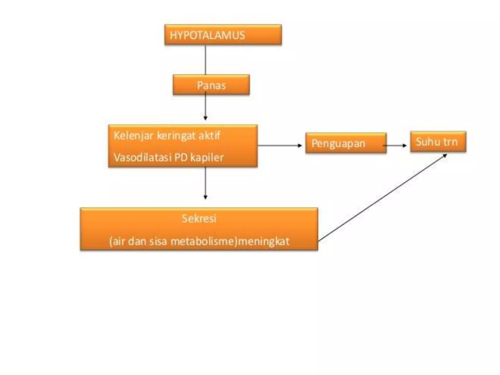 ANATOMI FISIOLOGI SISTEM INTEGUMEN.ppt