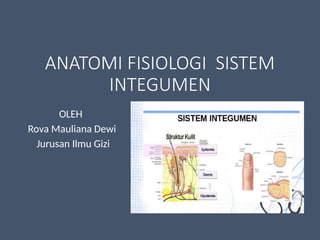 anatomi fisiologi sistem integumen ppt anatomi fisiologi | PPTX