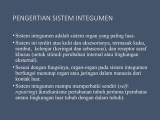 anatomi fisiologi sistem integumen ppt anatomi fisiologi | PPTX