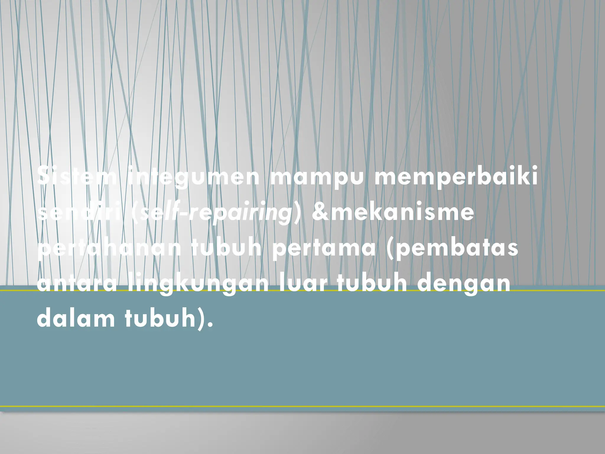ANATOMI_FISIOLOGI_SISTEM_INTEGUMEN fix.pptx