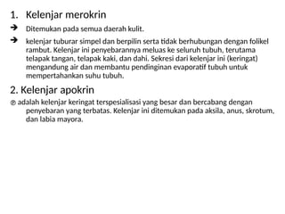 ANATOMI_FISIOLOGI_SISTEM_INTEGUMEN HIKMA.pptx