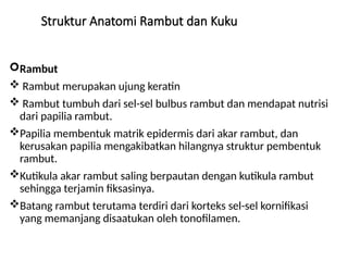 ANATOMI_FISIOLOGI_SISTEM_INTEGUMEN HIKMA.pptx