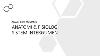 Anatomi & fisiologi sistem intergumen | PPT