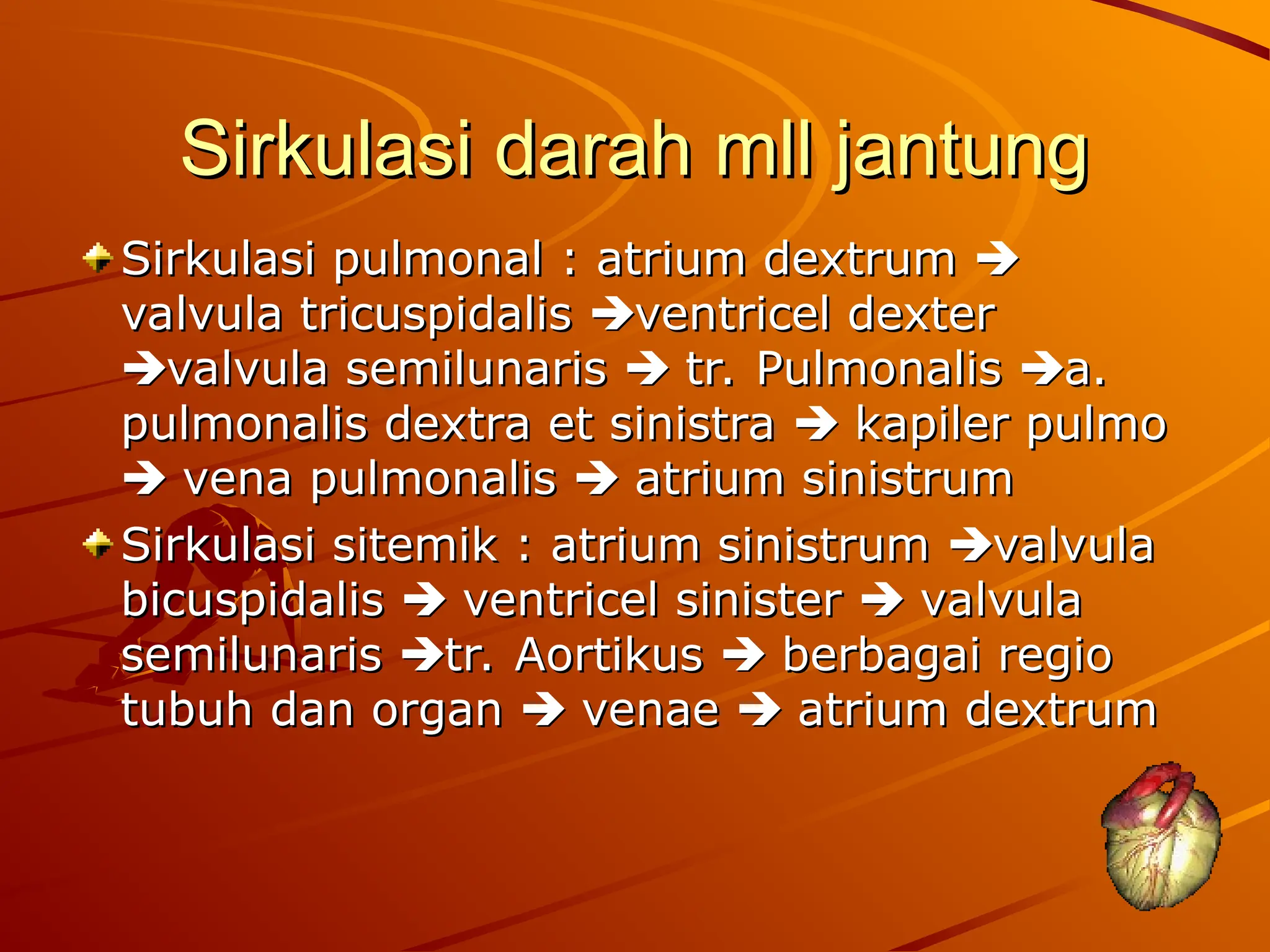 anatomi fisiologi sistem kardiovaskular.ppt
