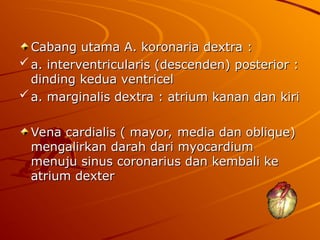 anatomi fisiologi sistem kardiovaskular.ppt