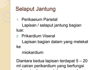 Anatomi_Fisiologi_Sistem_Kardiovaskuler.pptx